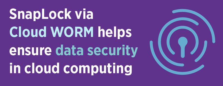 Enhance Cloud Data Protection by Using WORM Storage