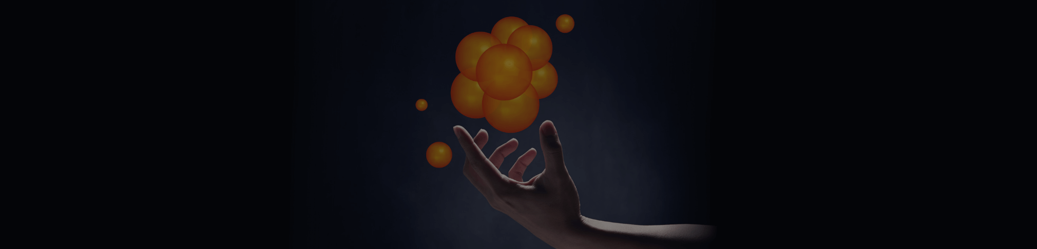 myBrand + NetApp Success Story | NetApp